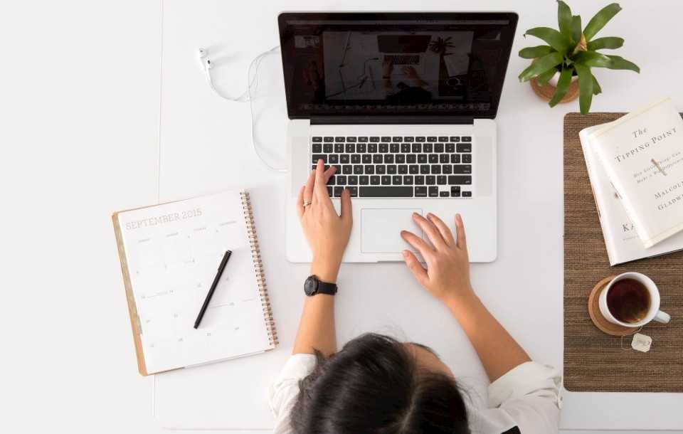 English CV Example Jak Napisa How To Write 